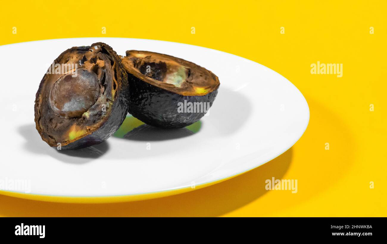 An avocado cut in half moldy on a plate Yellow background Rotten Food ...