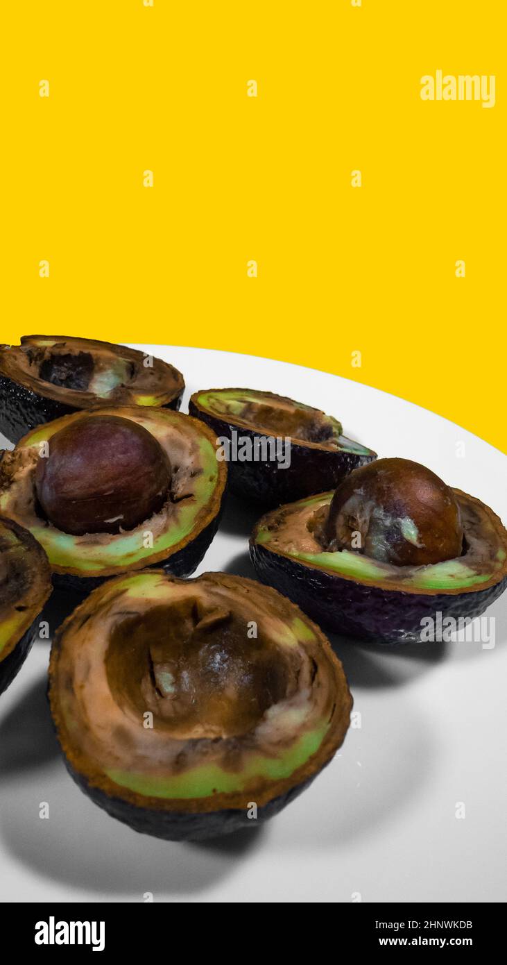 Bad Avocado Close up on Yellow background Vertical Photo. Ugly Tropical ...