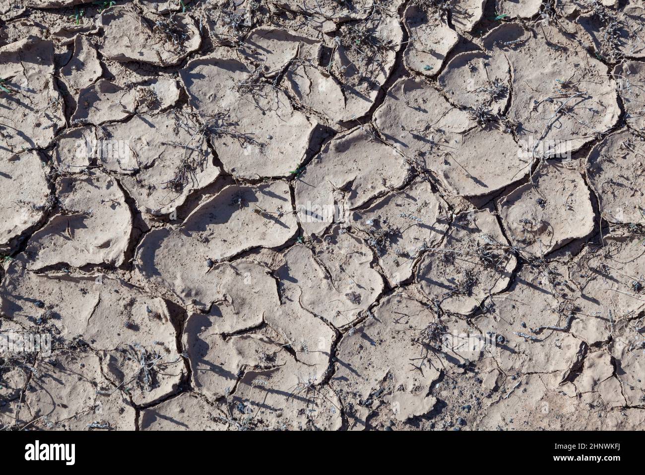 dry loam in the desert as symbol and background Stock Photo - Alamy