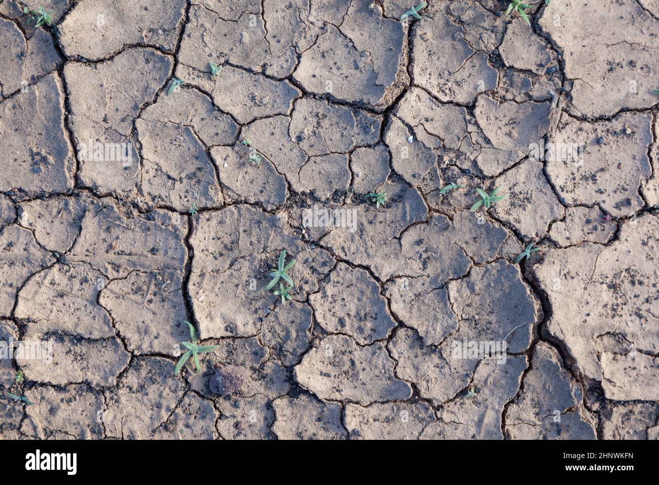 dry loam in the desert as symbol and background Stock Photo - Alamy