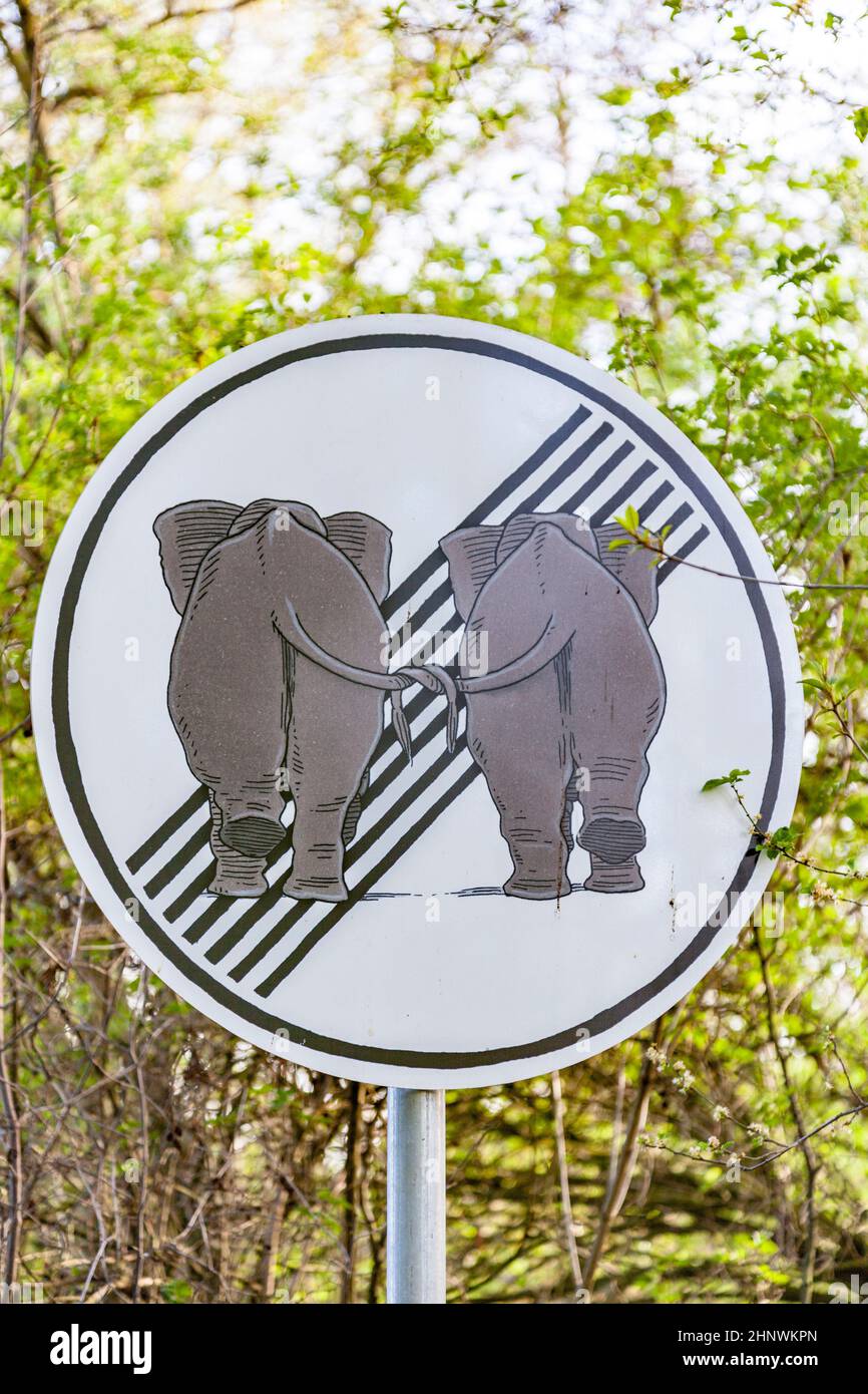 traffic sign elephants in Love in the forest Stock Photo - Alamy