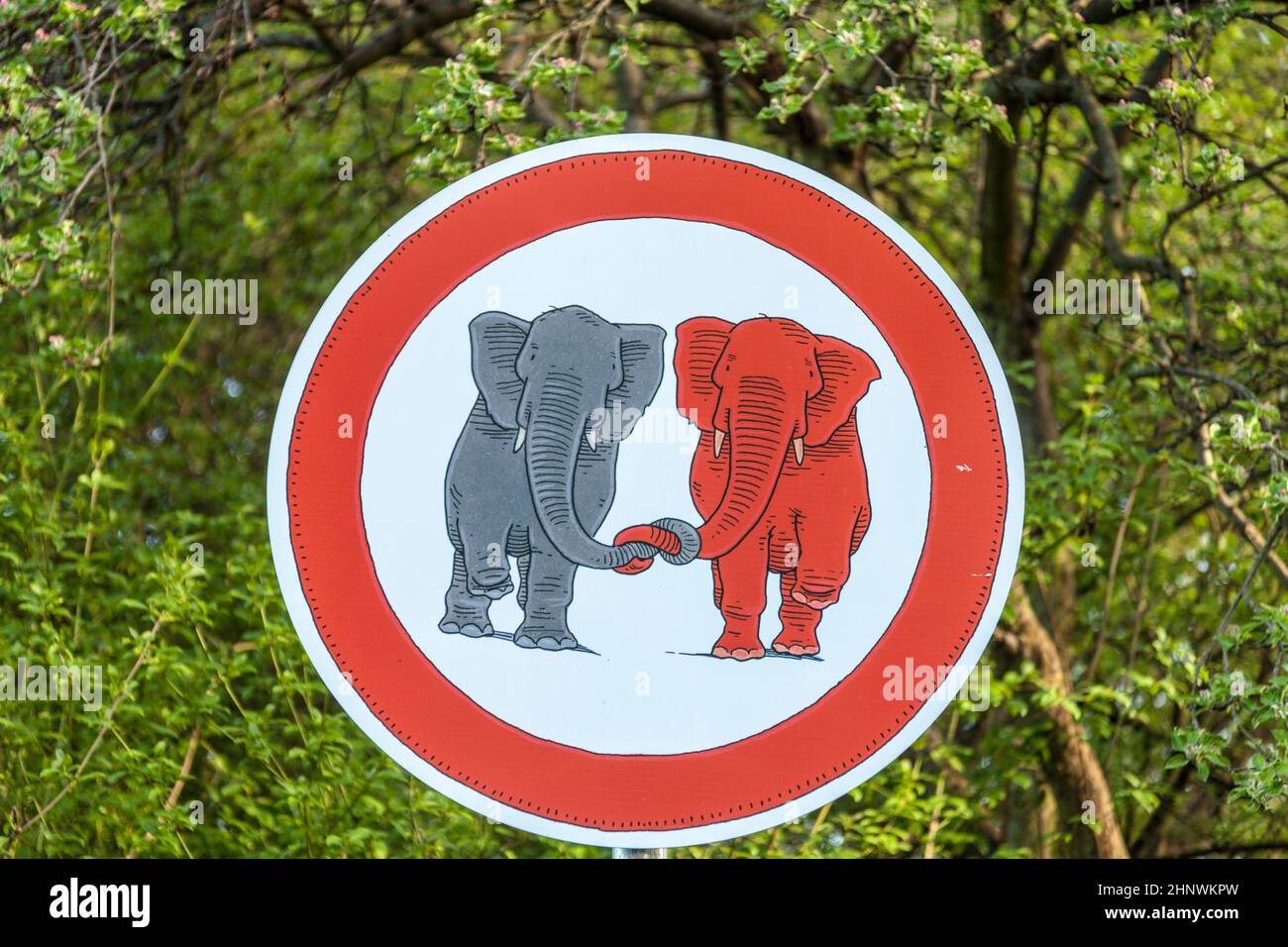 traffic sign elephants in Love in the forest Stock Photo - Alamy