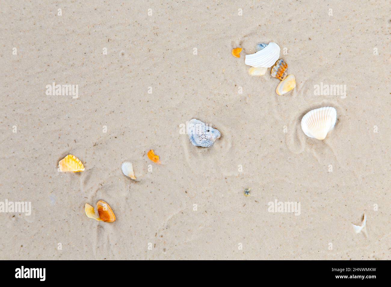 Eastpoint florida hi-res stock photography and images - Alamy