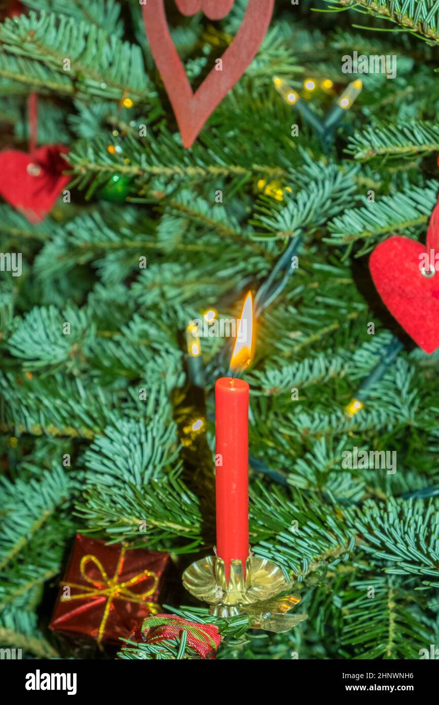 burning red christmas candels at the christmas tree Stock Photo - Alamy