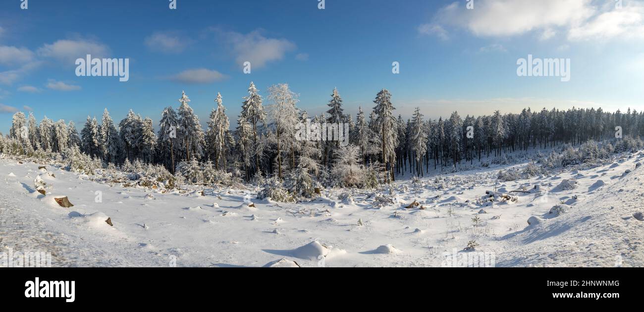 winter landscape in snow at the mountain Feldberg in Hesse, Germany ...