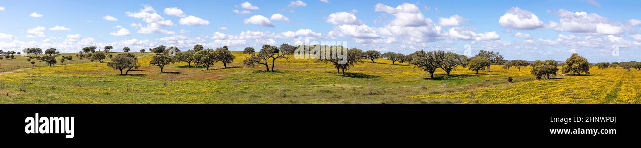 scenic landscape near Ourique at the coast aerea of Algarve in Portugal ...