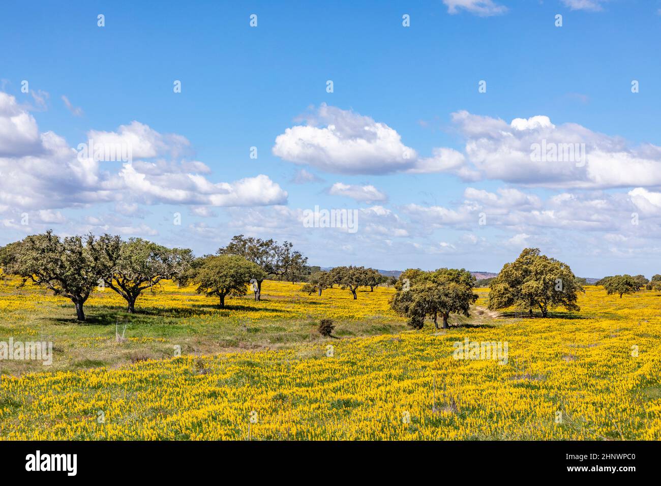 scenic landscape near Ourique at the coast aerea of Algarve in Portugal ...