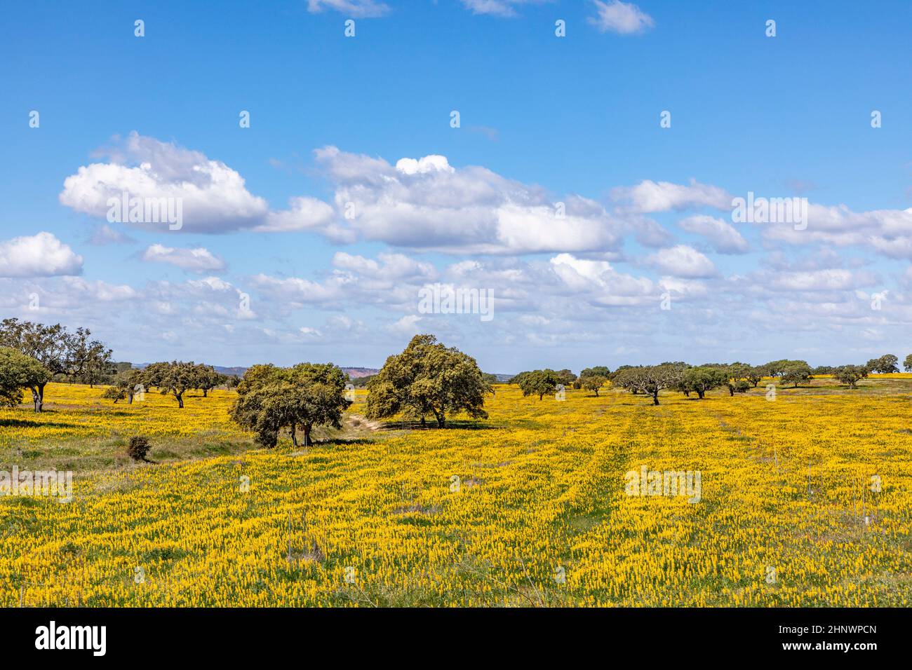 scenic landscape near Ourique at the coast aerea of Algarve in Portugal ...