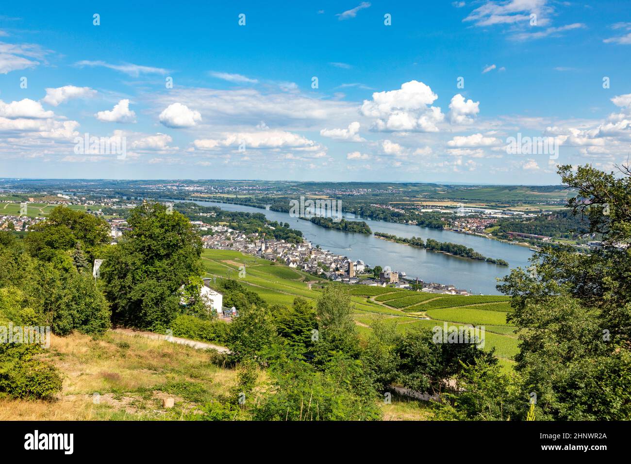 aerial view to scenic vineyards in Ruedesheim, Germany Stock Photo - Alamy