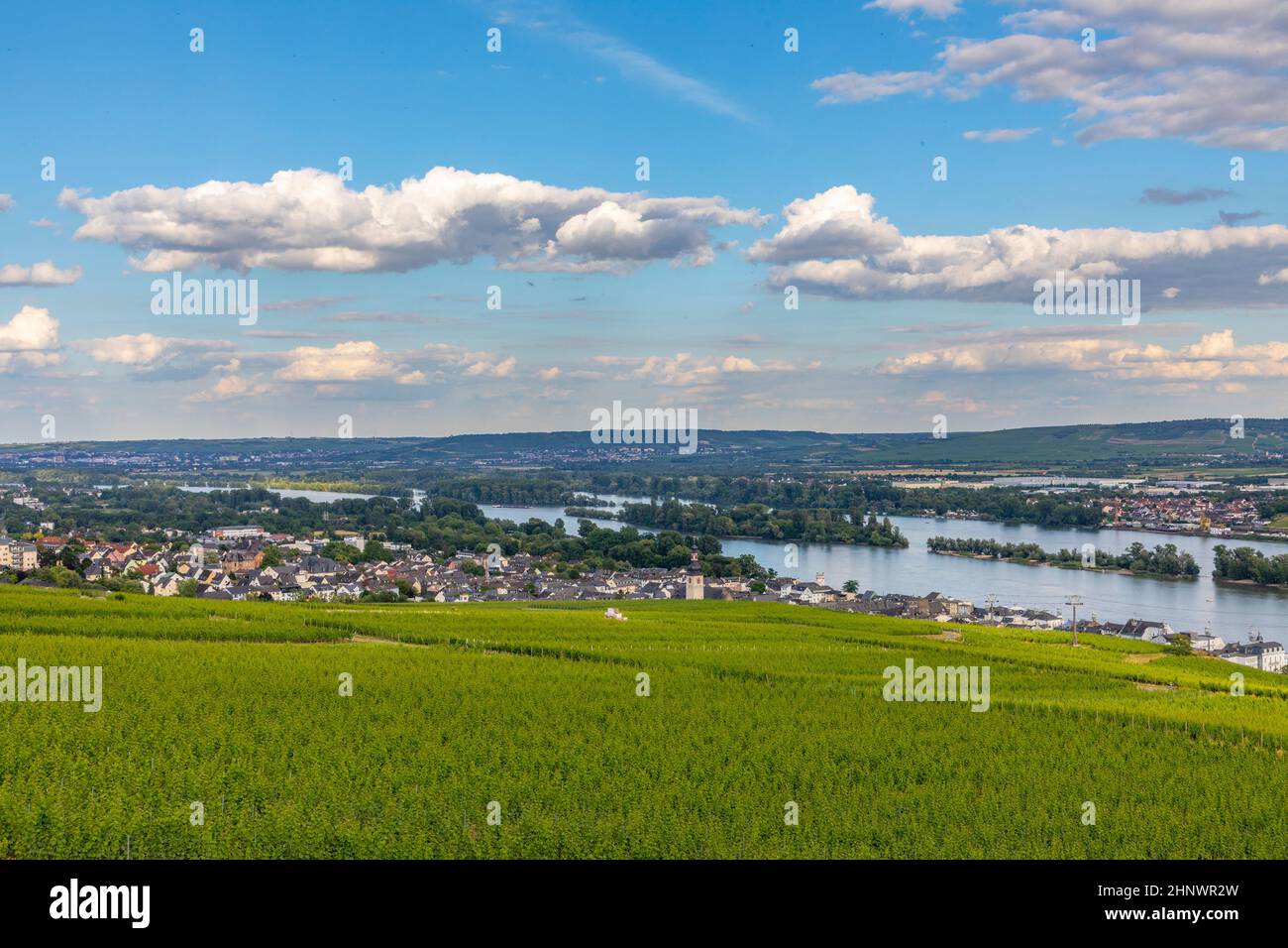 scenic vineyard landscape with river Rhine view at Ruedesheim, Germany ...