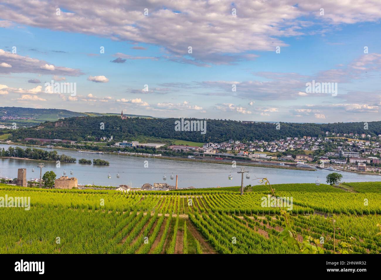 scenic vineyard landscape with river Rhine view at Ruedesheim, Germany ...