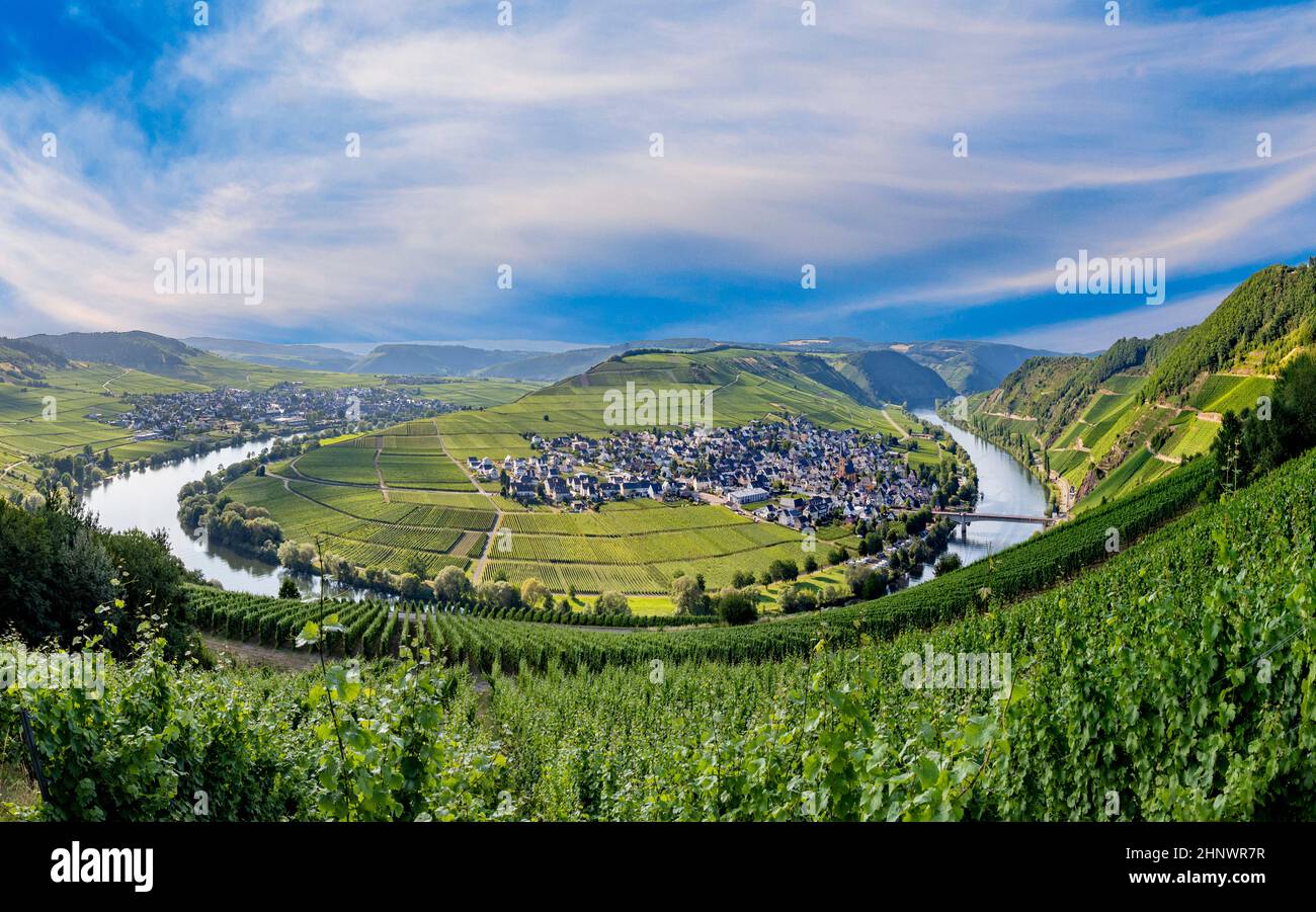 scenic moselle river loop at Leiwen, Trittenheim in Germany Stock Photo ...