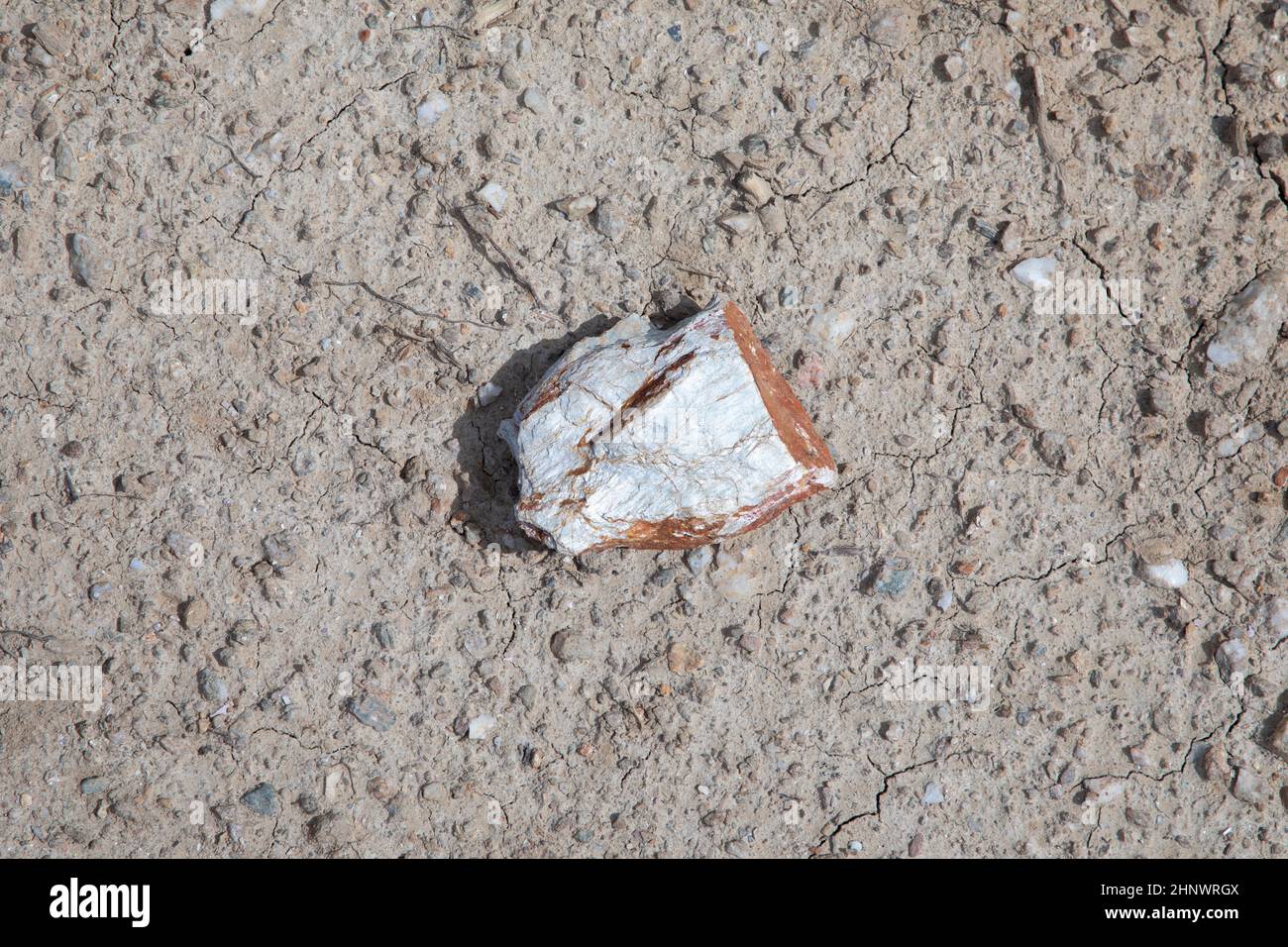 Spoiled by the sun hi-res stock photography and images - Alamy