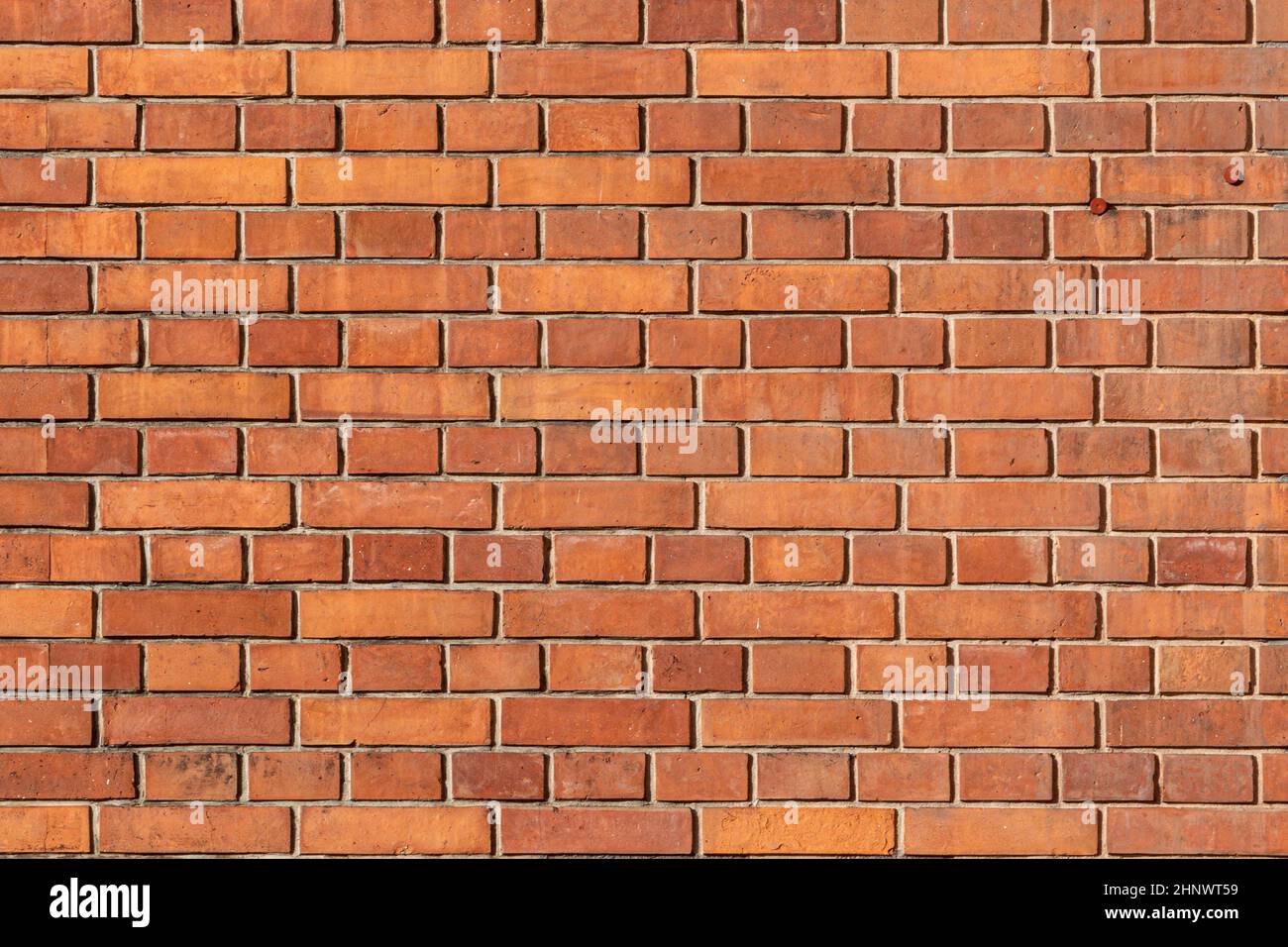 pattern of old historic brick wall in bright color Stock Photo - Alamy