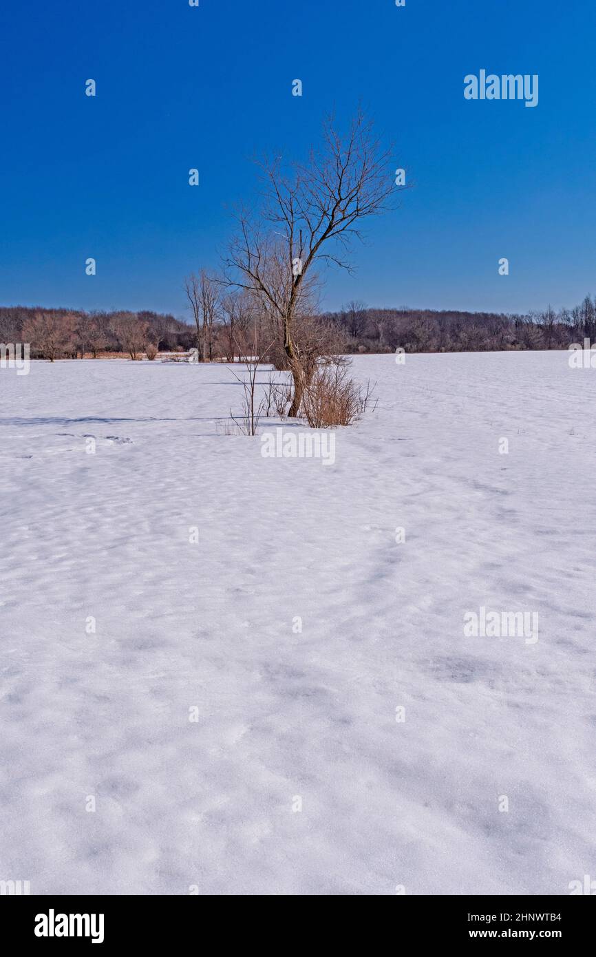Spring lake preserve hi-res stock photography and images - Alamy