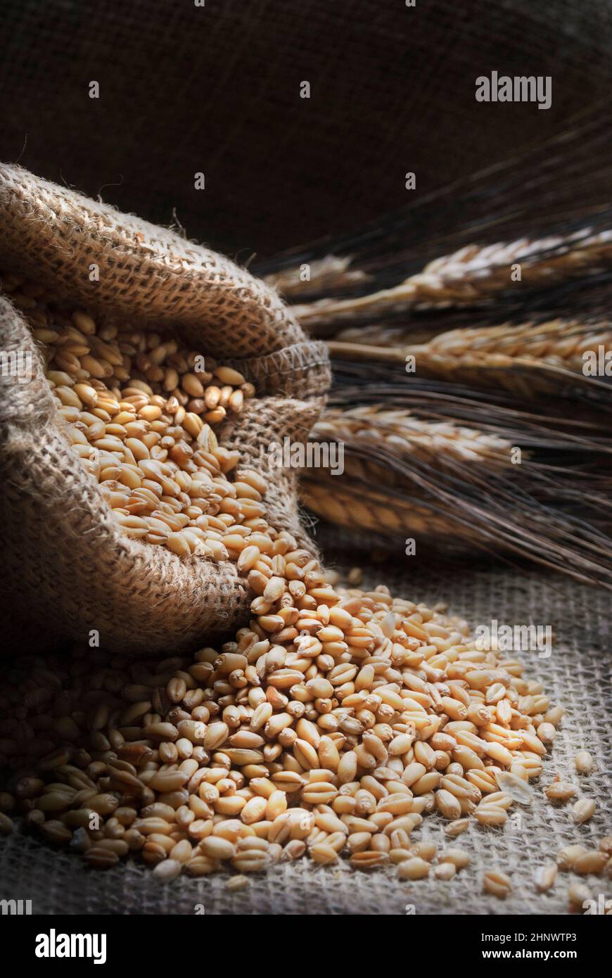 Full of wheat hi-res stock photography and images - Alamy
