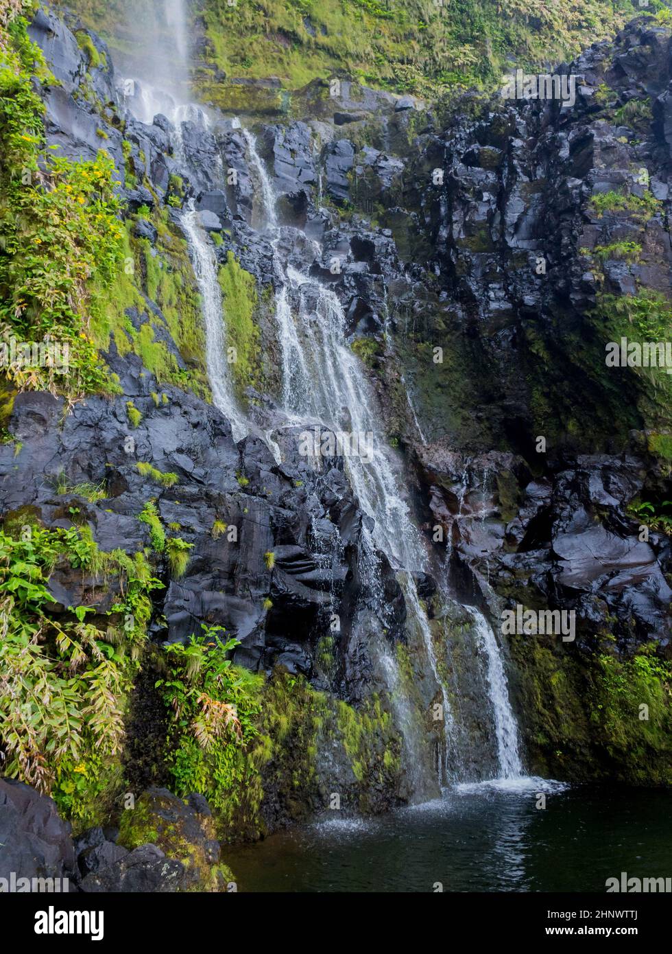 Azores waterfalls and cliffs in Flores island. Portugal Stock Photo - Alamy