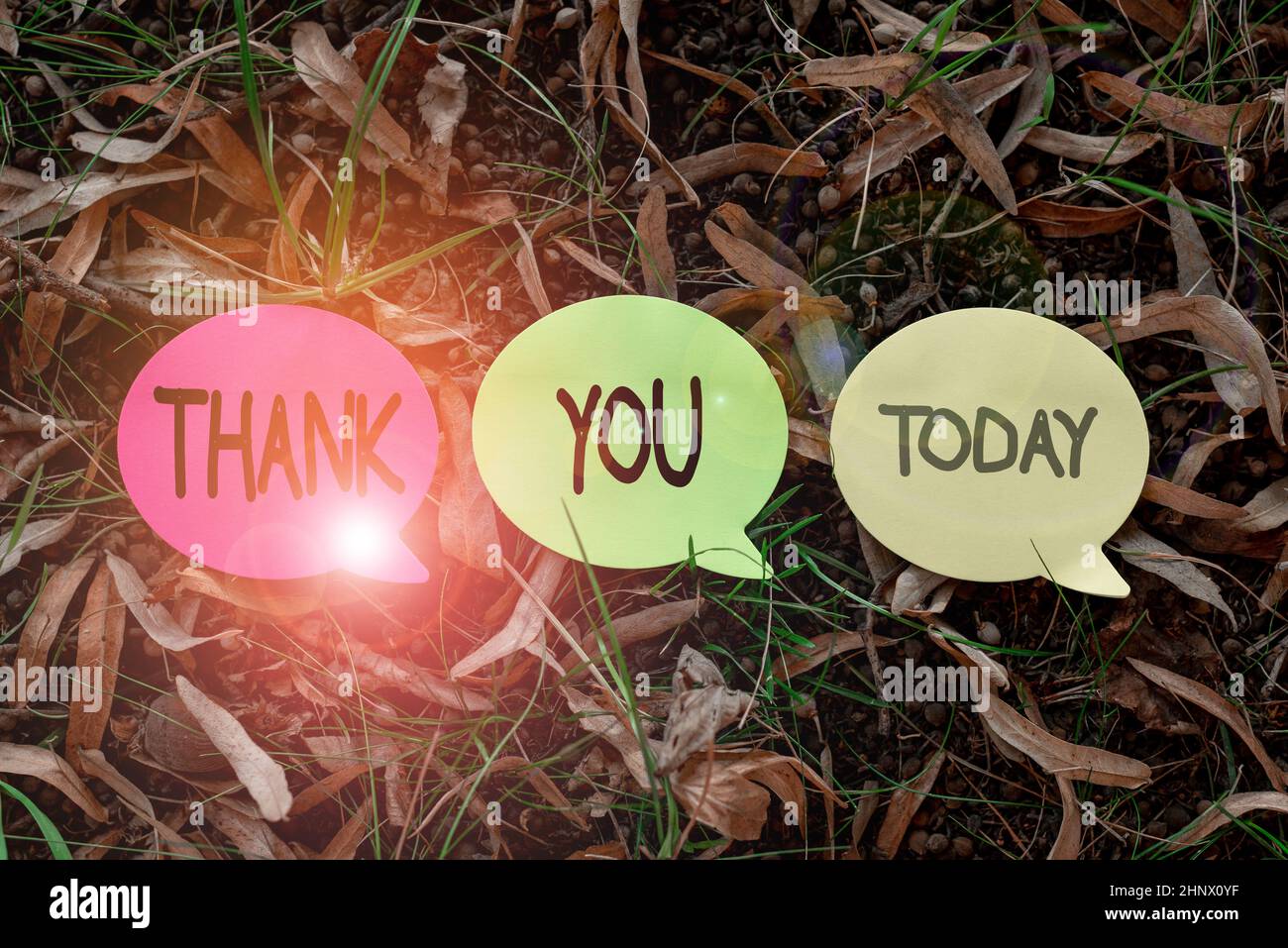 Text caption presenting Thank You, Concept meaning a polite expression ...