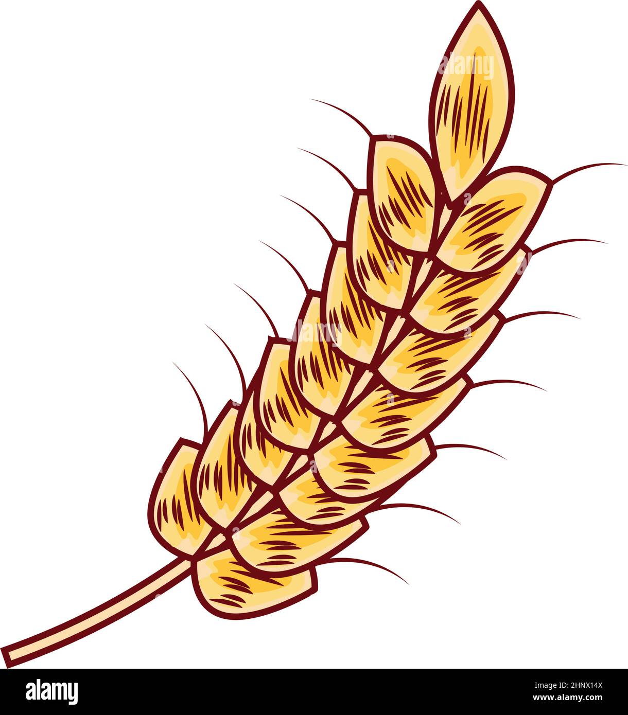 wheat spike icon Stock Vector Image & Art - Alamy