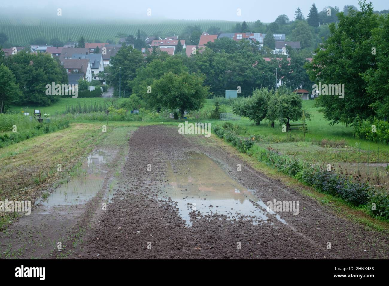 Water puddle on a field after to much rain scene Stock Photo - Alamy