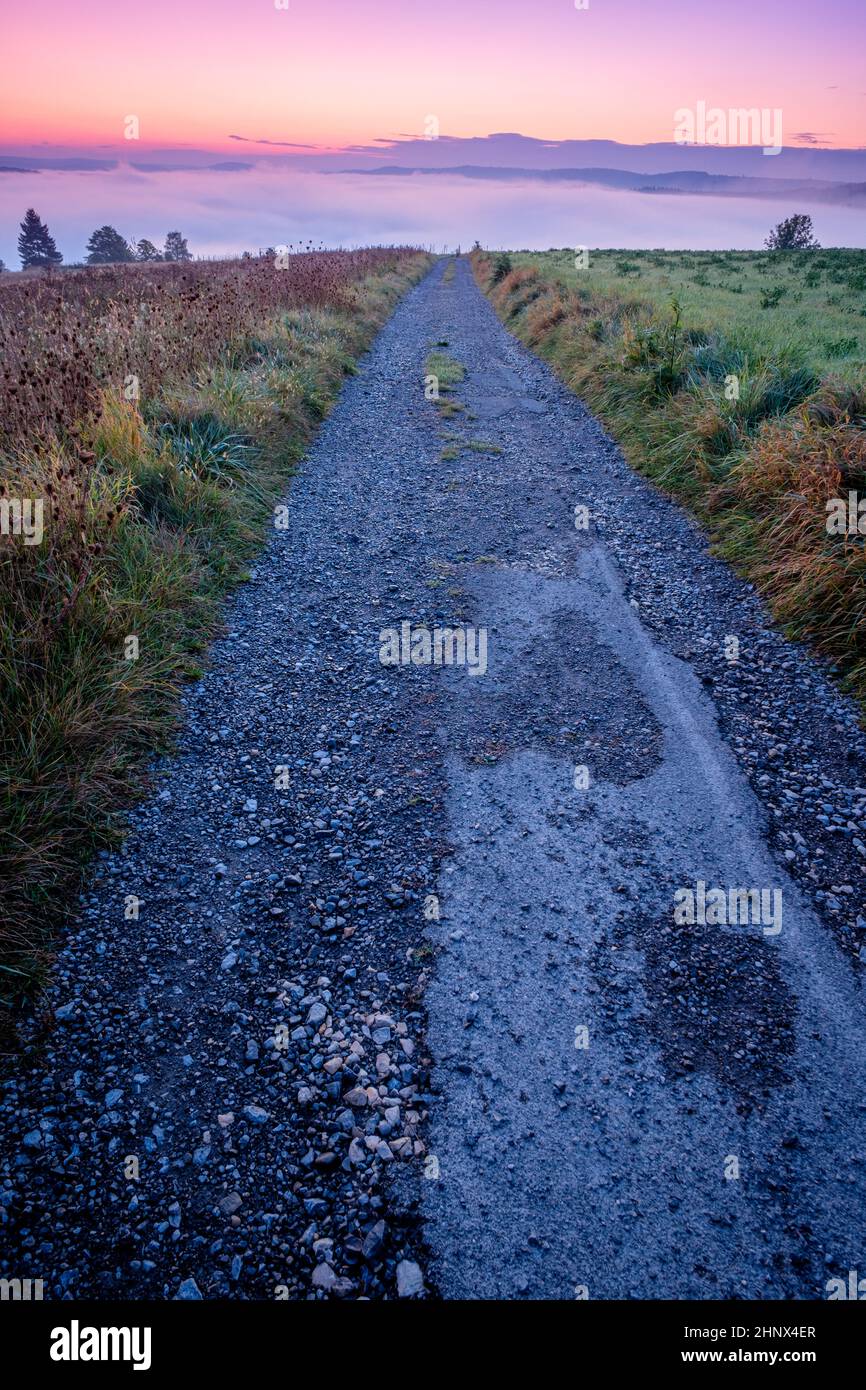 Field road with straight direction to fog in dawn valley Stock Photo ...