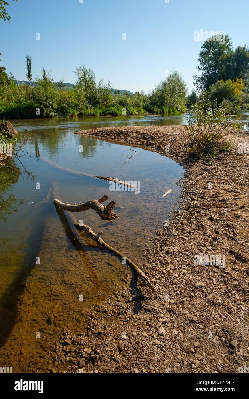 German river Rems with dead wood in water vertical format Stock Photo ...