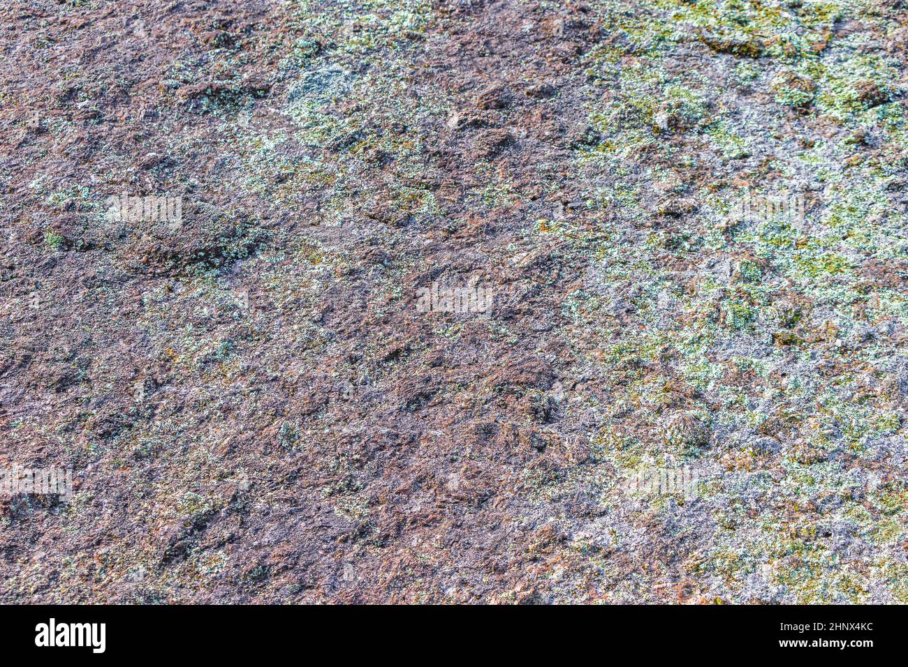 Stone rock texture with colorful green orange red and black moss and ...