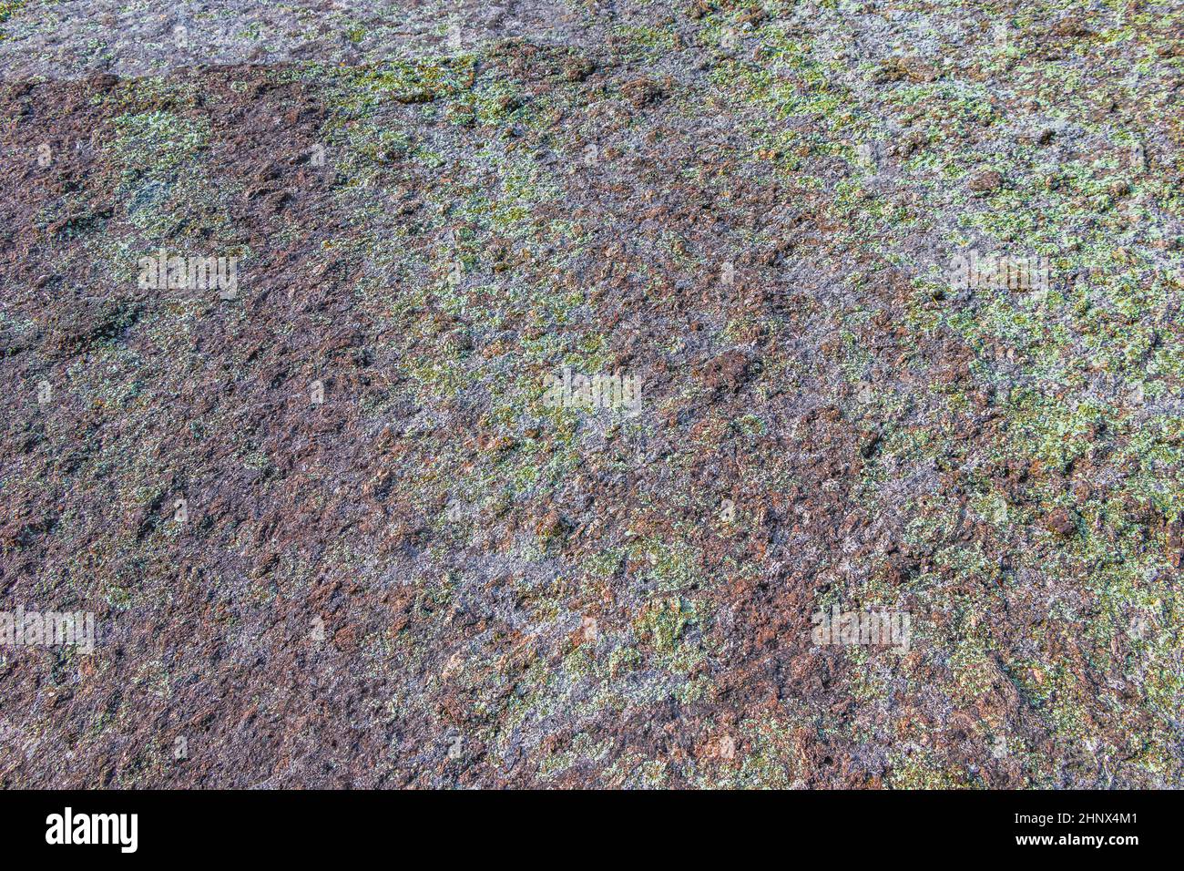 Stone rock texture with colorful green orange red and black moss and ...