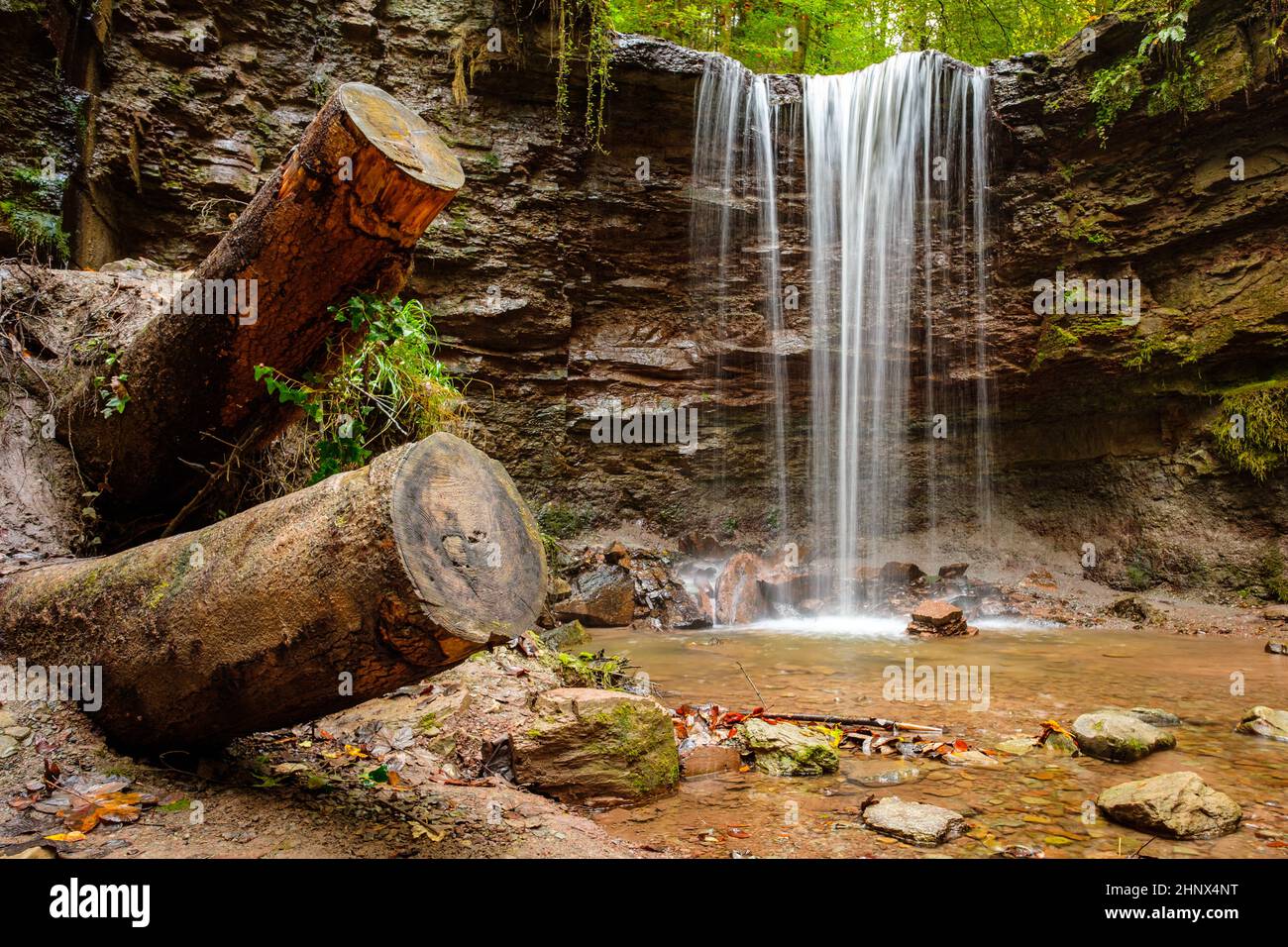 Waterfall stream cascade in german forest landscape Stock Photo - Alamy