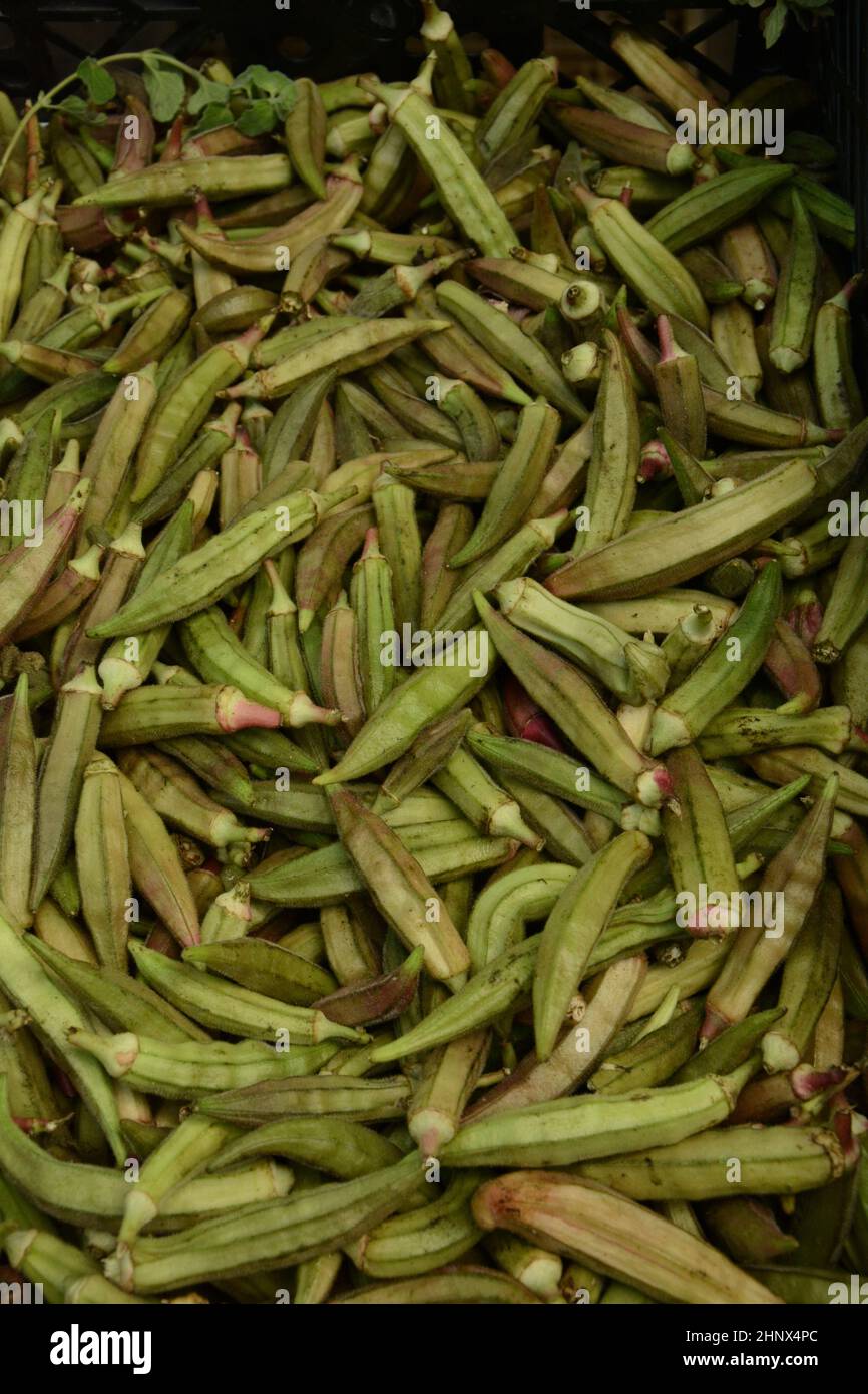 Fresh okra at the street market of Akko, Israel Stock Photo - Alamy