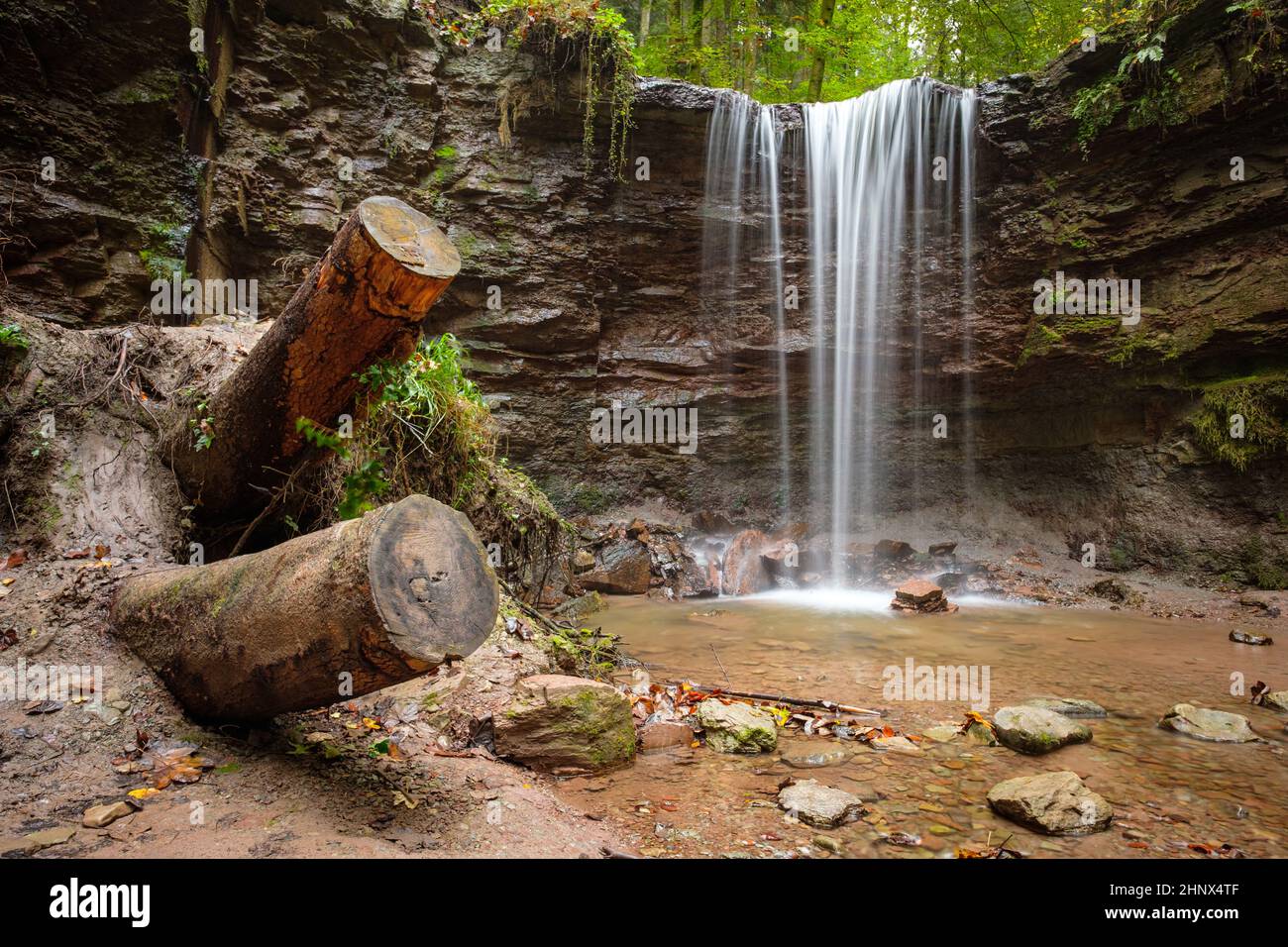 Waterfall cascade flowing into a stream with tree trunks scenery Stock ...