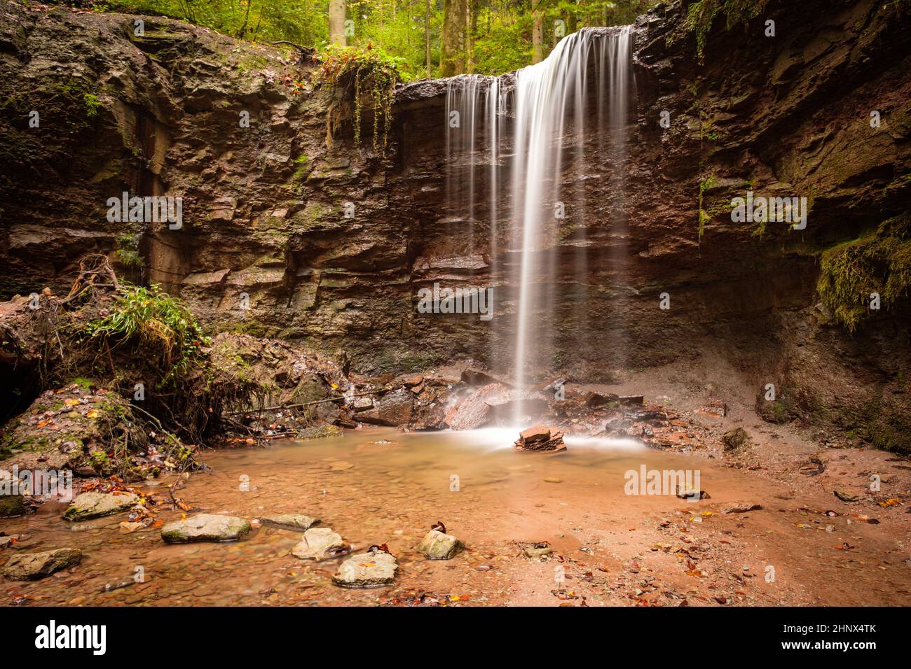 Cascade stream in german forest scenery Stock Photo - Alamy
