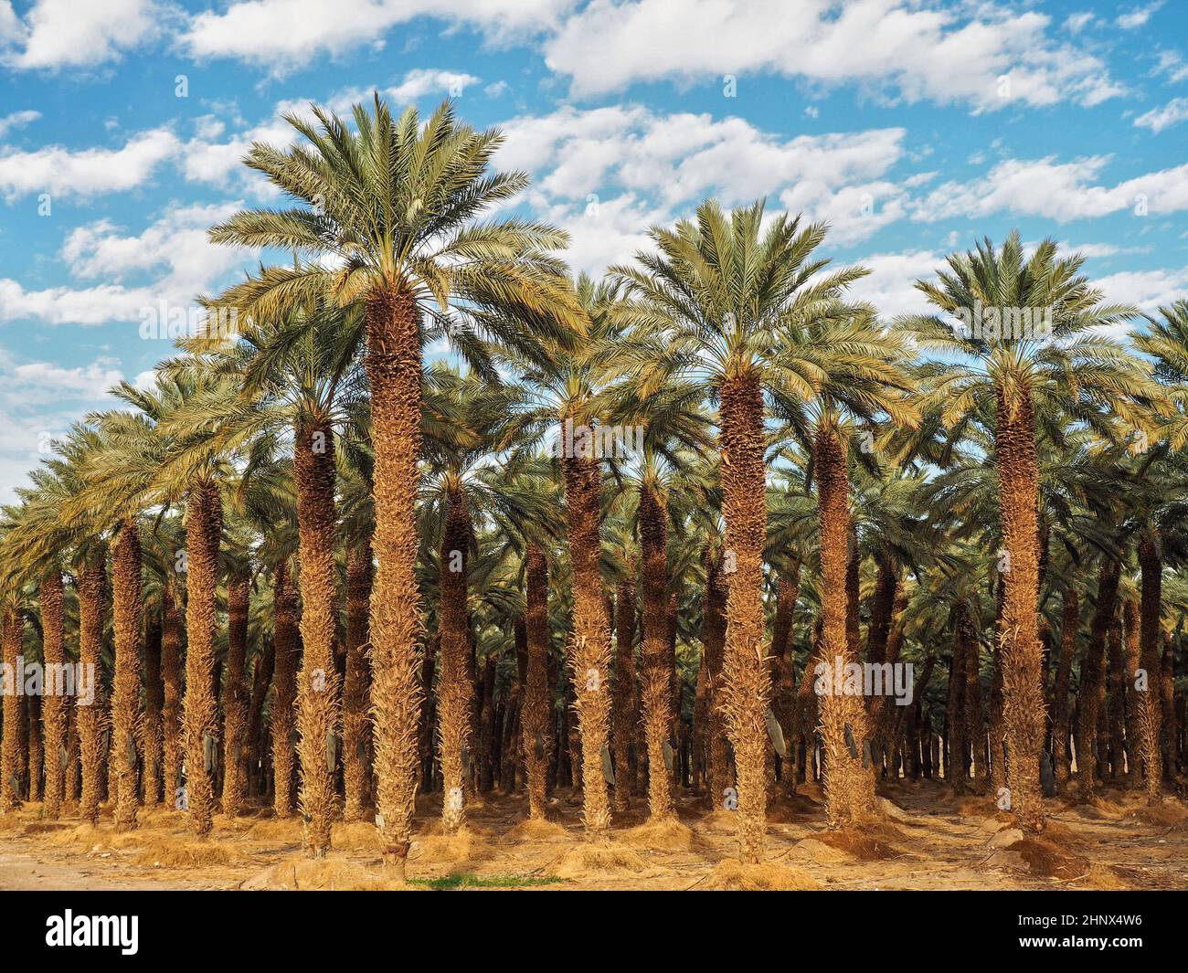 Desert like landscape above hi-res stock photography and images - Alamy
