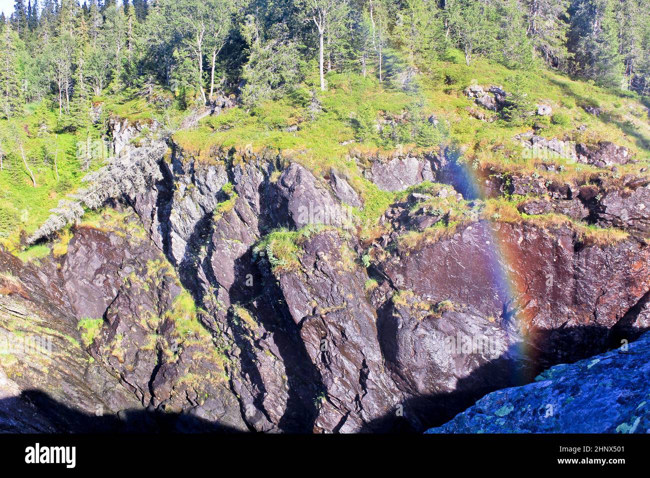 Fallen dead and broken tree beside rainbow over the canyon from ...