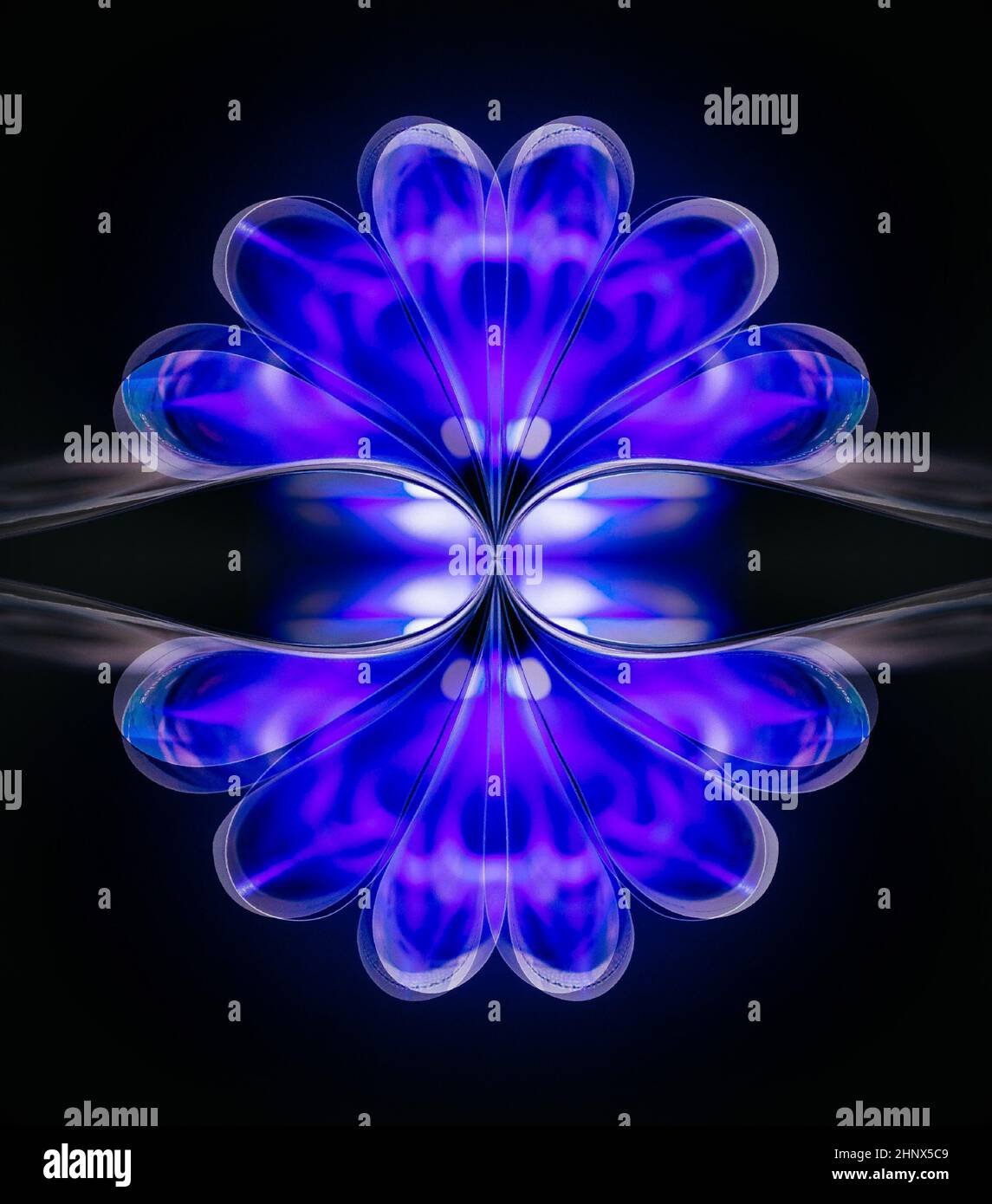 3d render design of a background blue flower on isolated black ...