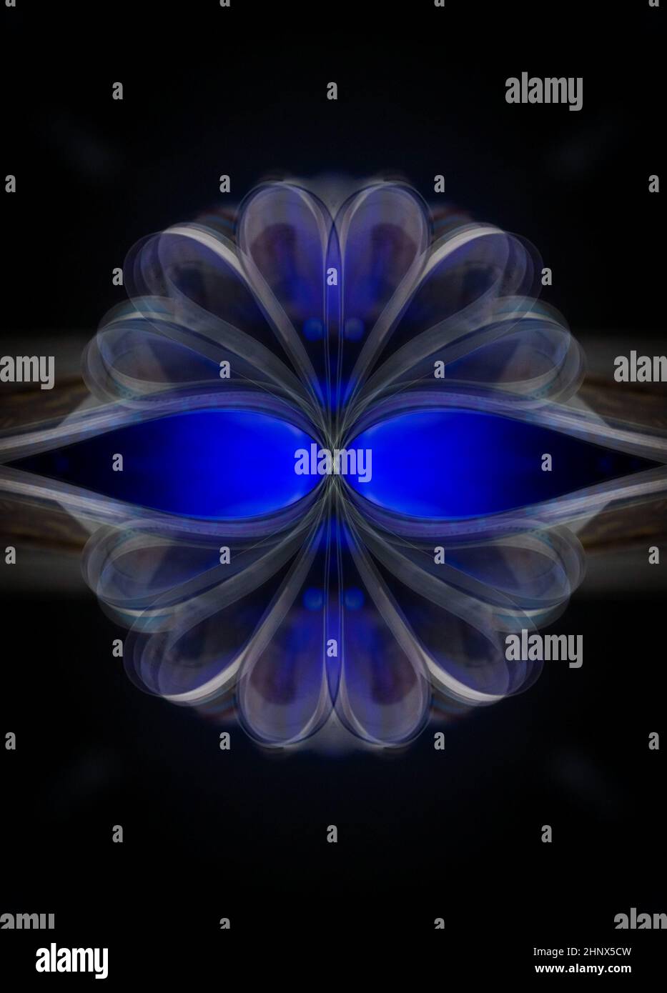 3d render design of a background blue flower on isolated black ...