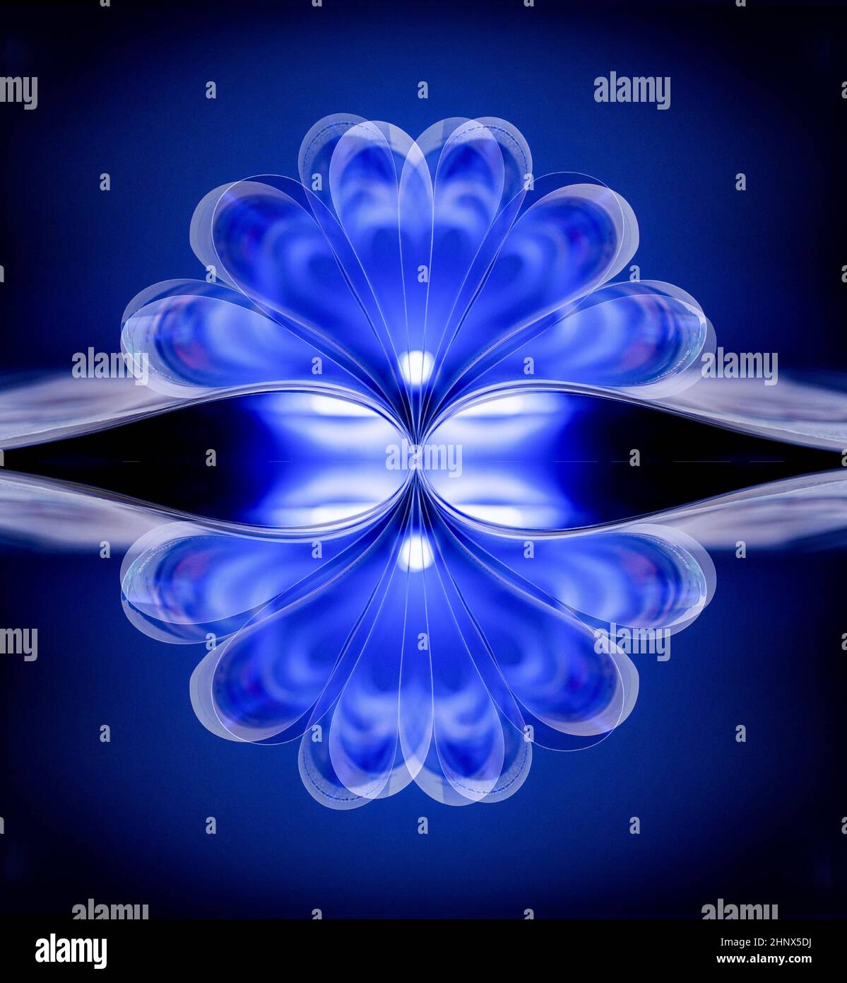 3d render design of a background blue flower on isolated black ...