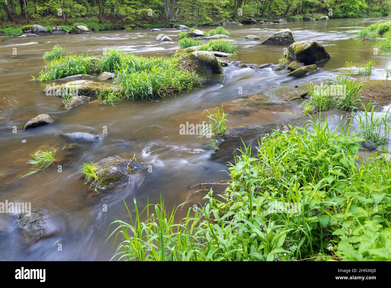 River sazava hi-res stock photography and images - Alamy
