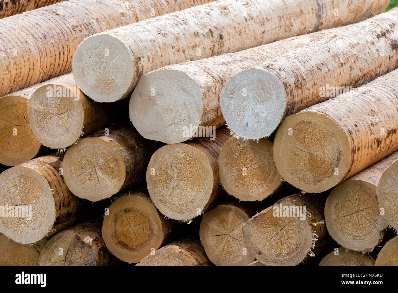 woodworking industry in Alps, Italy Stock Photo - Alamy