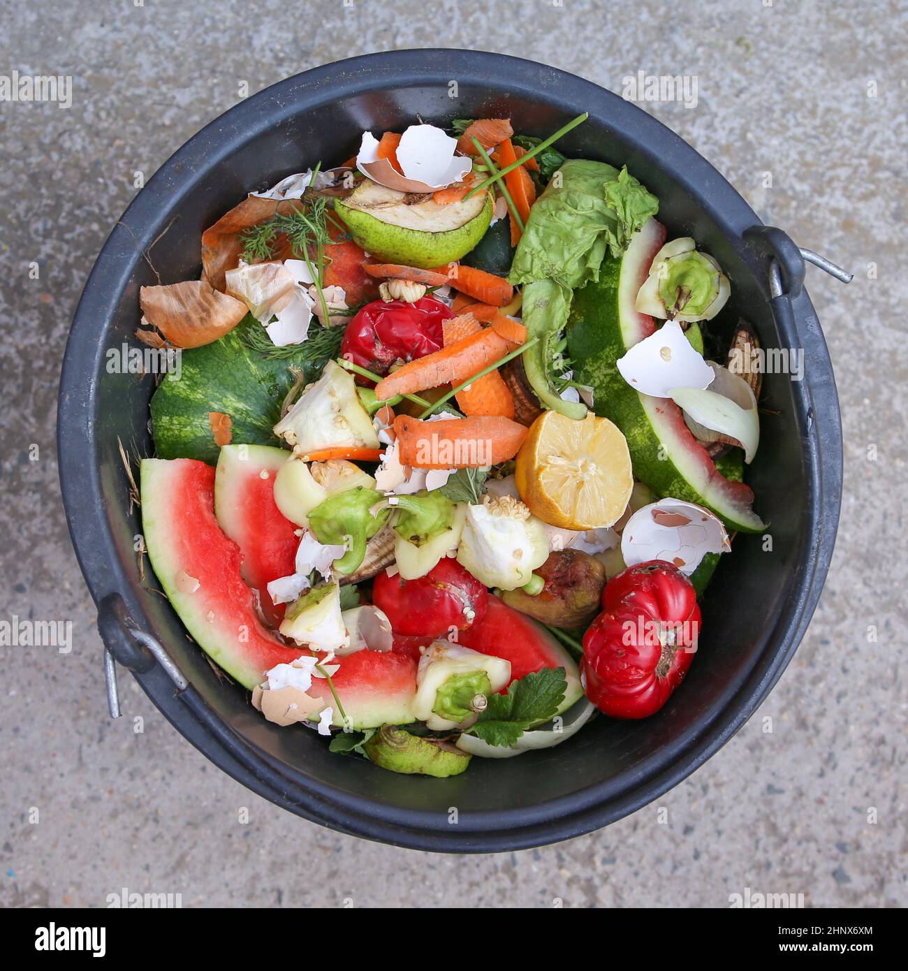 Domestic waste for compost from fruits and vegetables in the garbage ...