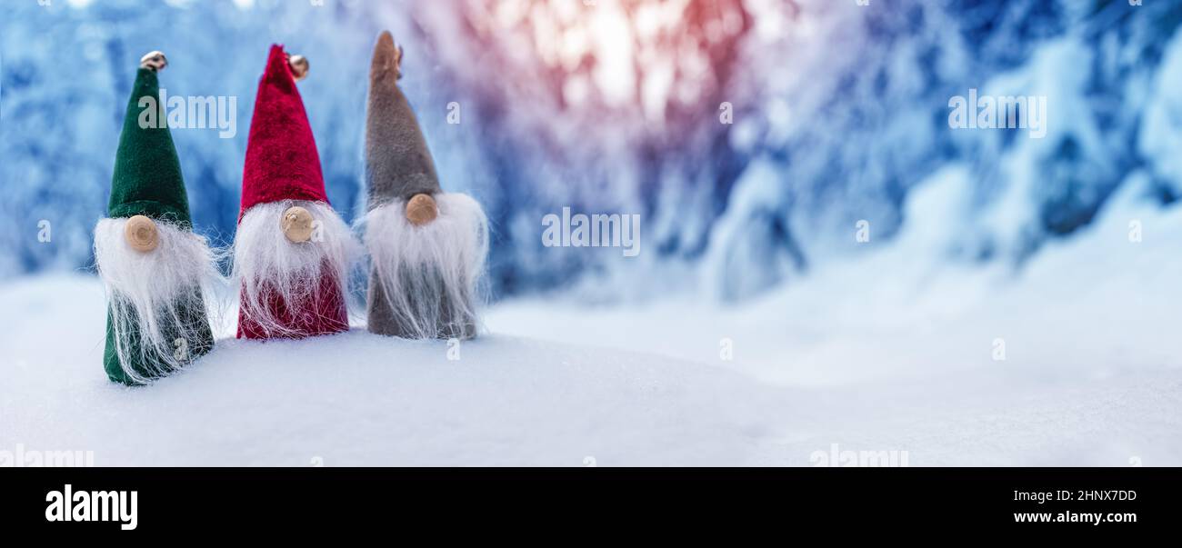 Three cute gnomes in the snowdrift in the winter forest. Beautiful view ...