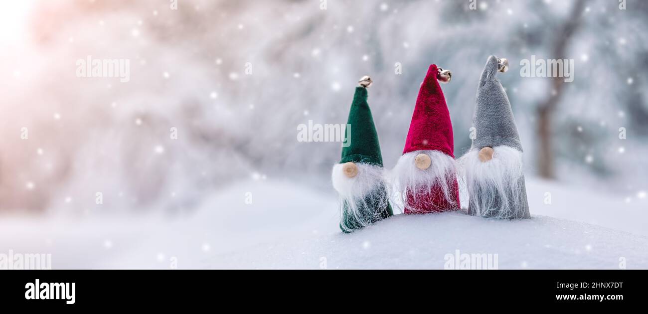 Three cute gnomes in the snowdrift in the winter forest in snowfall ...