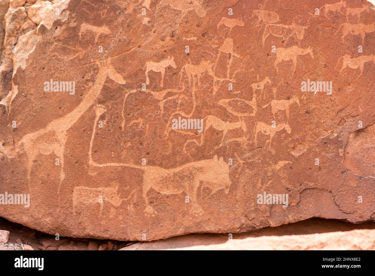 Bushman engravings in the granite rock, Twyfelfontein UNESCO World ...