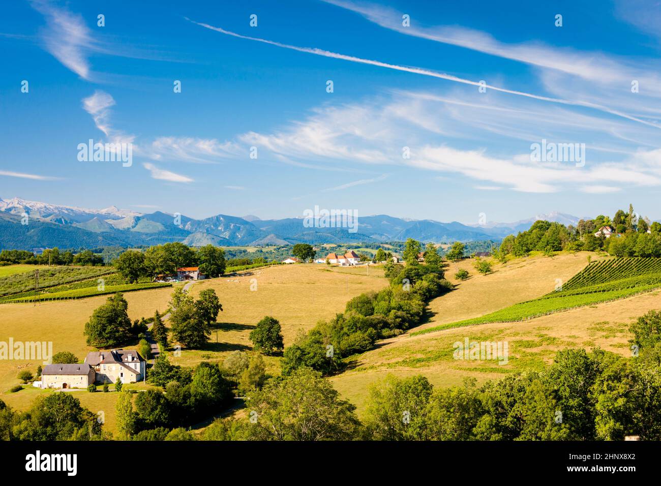 Jurancon hi-res stock photography and images - Alamy