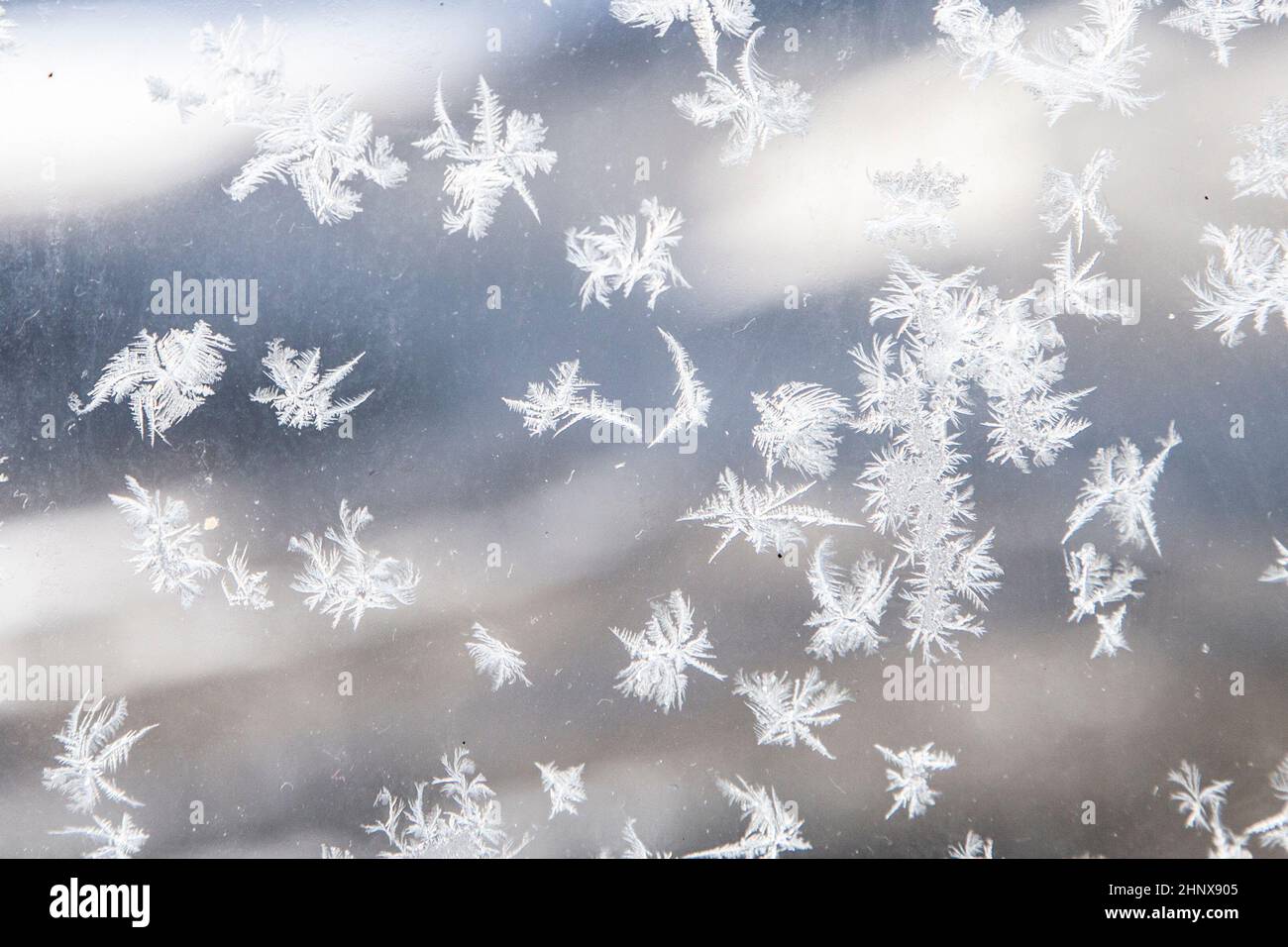 frozen ice crystal in detail - winter Stock Photo - Alamy