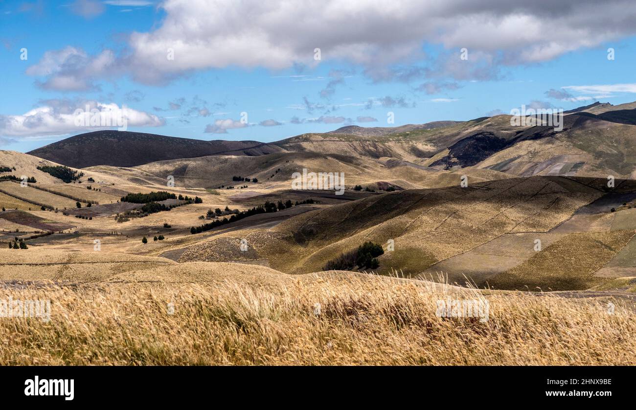 scenic landscape with agriculture and fields in Ecuador Stock Photo - Alamy