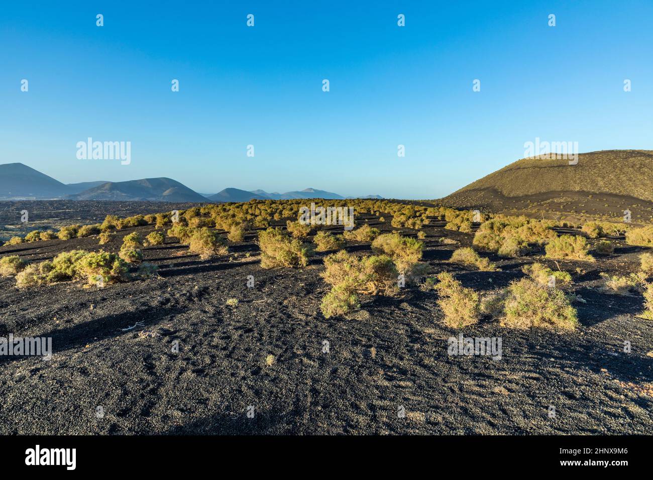 volcanic landscape in Lanzarote, Timanfaya national park in morning ...