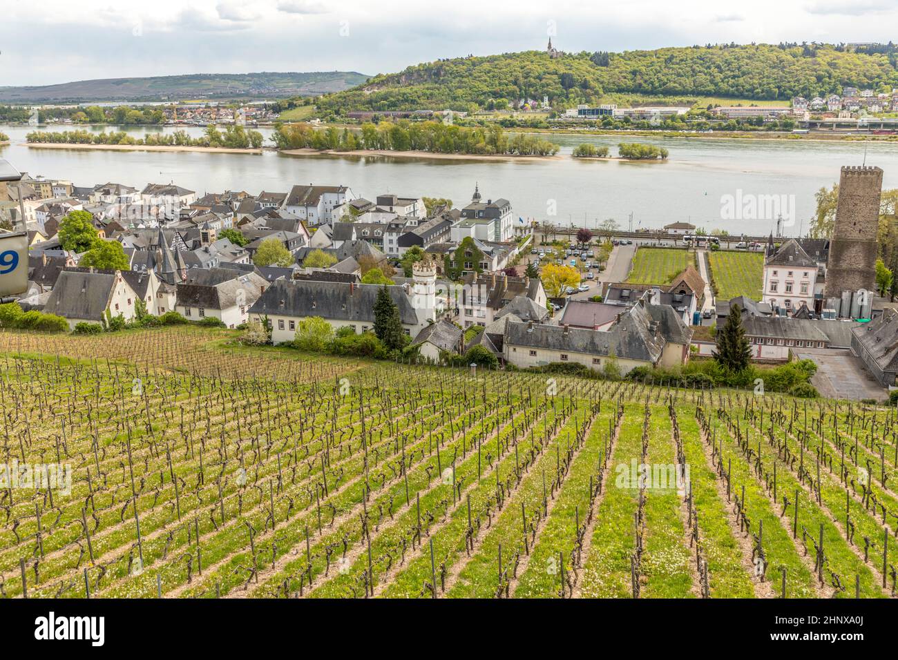 view to village of Ruedesheim at river Rhine in Germany Stock Photo - Alamy