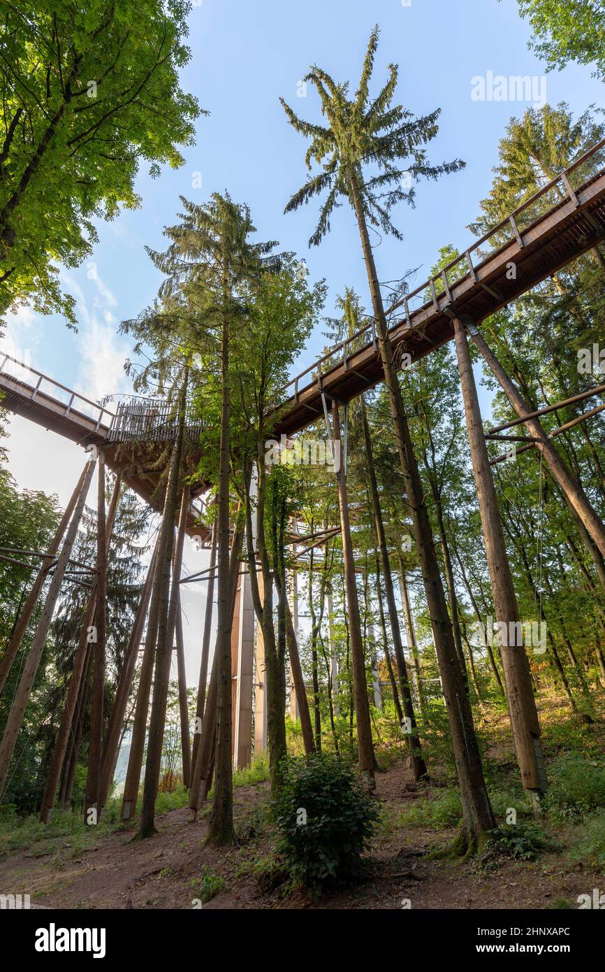landscape of the Saarland with treetop path at the saar panoramic point ...