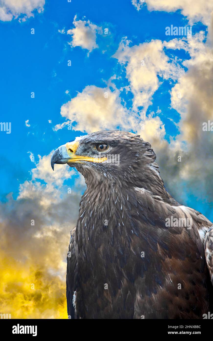 Trustful hi-res stock photography and images - Alamy